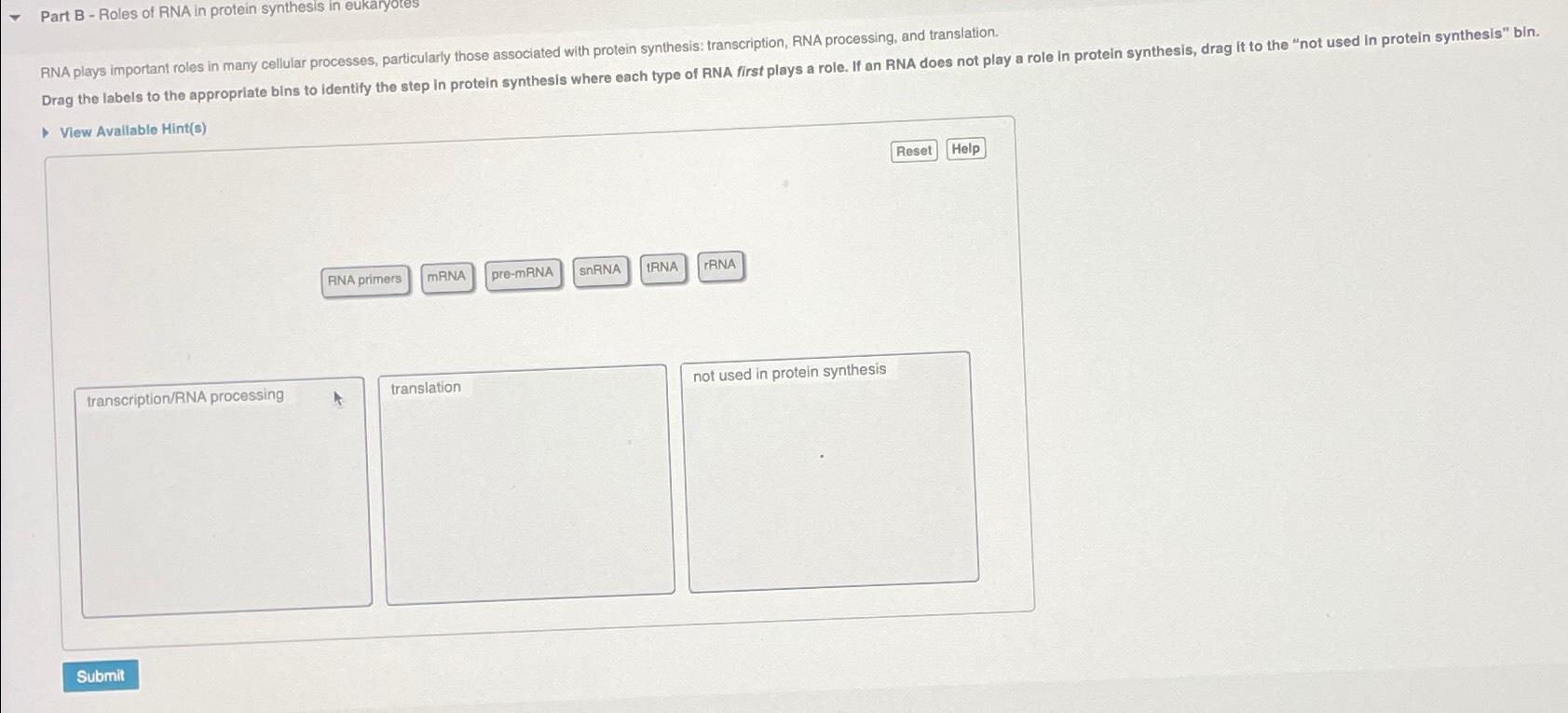 Solved RNA plays important roles in many cellular processes, | Chegg.com