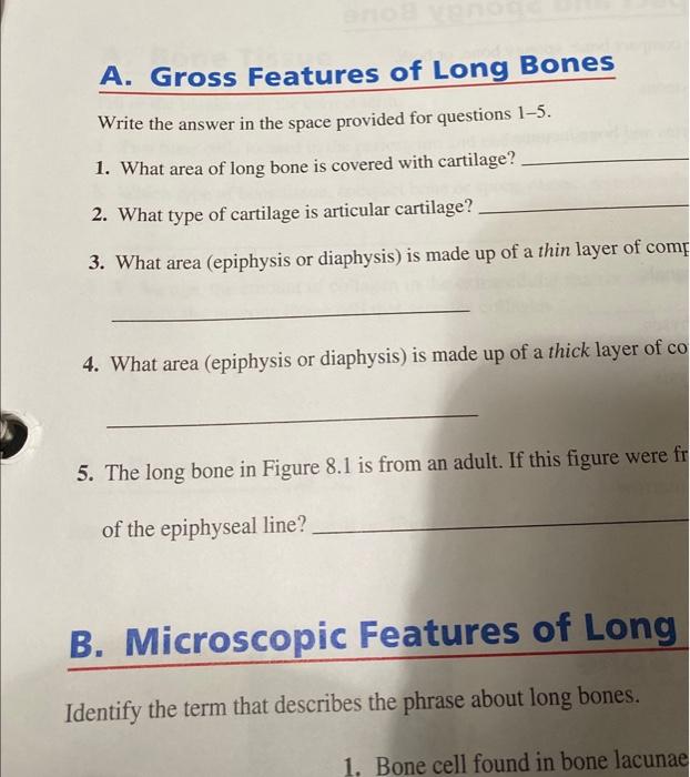 A. Gross Features of Long Bones Write the answer in | Chegg.com