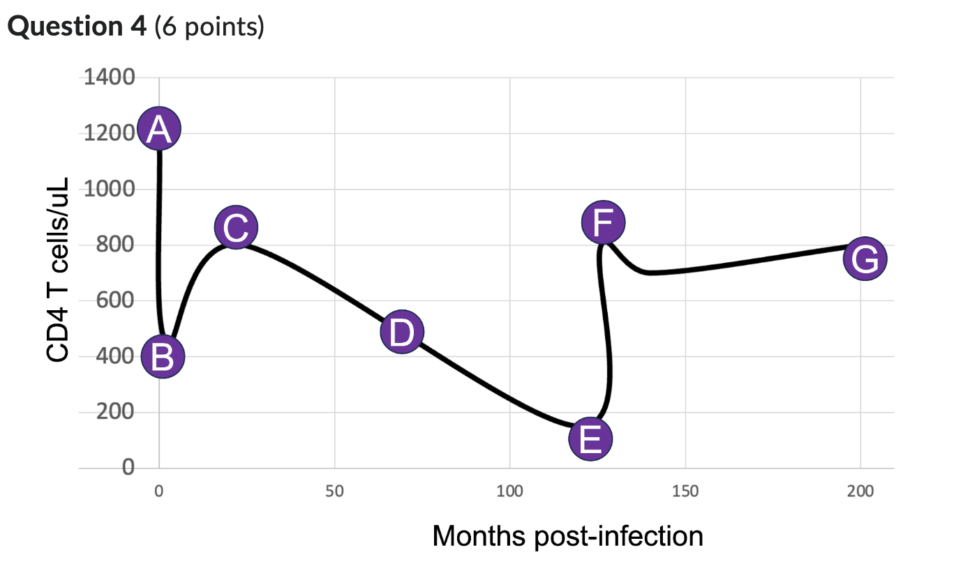 Solved Question 4 (6 ﻿points) ﻿Examine the graph of CD4 ﻿T | Chegg.com