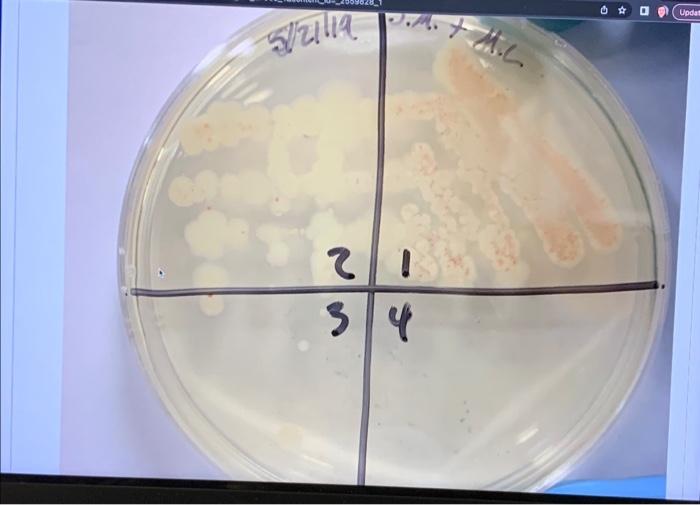 Solved PART A: Isnlation af Disnrate Colanias from a Mixad G | Chegg.com