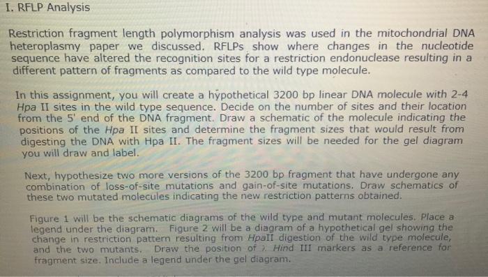 Solved I. RFLP Analysis Restriction fragment length | Chegg.com