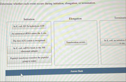 Solved Determine whether each event occurs during | Chegg.com