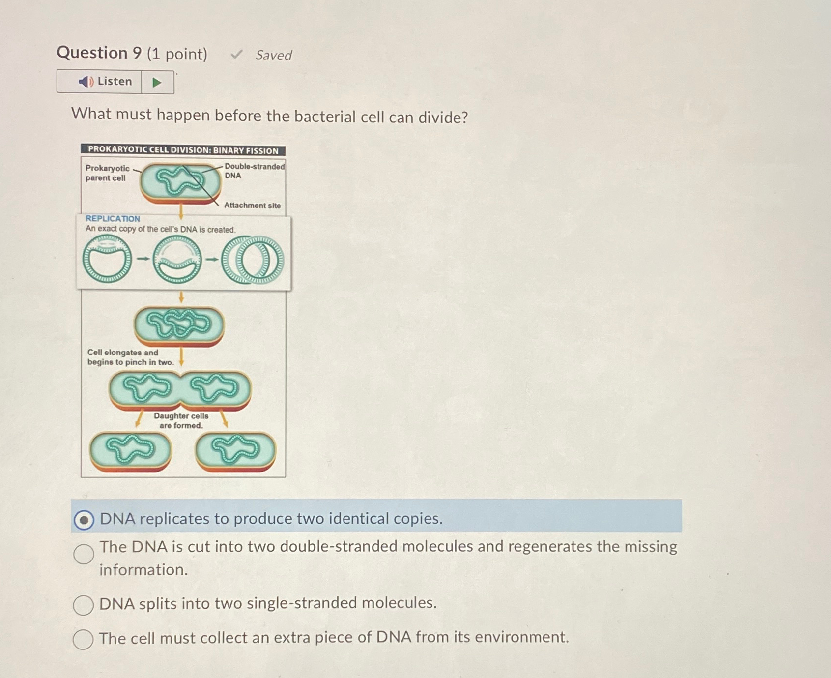 Solved Question 9 (1 ﻿point) ﻿SavedWhat must happen before | Chegg.com