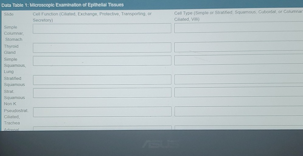 Solved Cell Type (Simple or Stratified, Squamous, Cuboidal, | Chegg.com