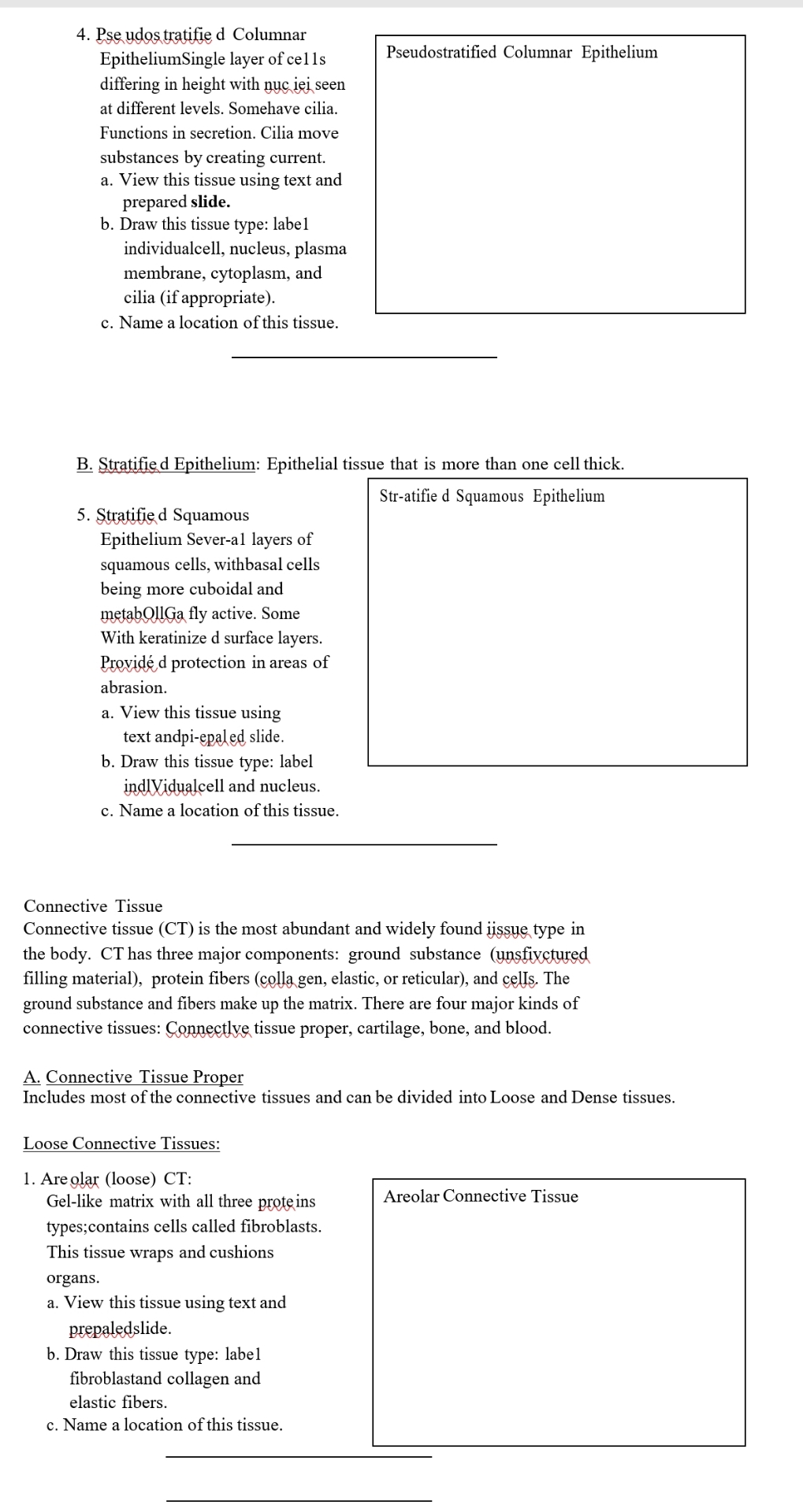 Solved Pse udos tratifie d Columnar EpitheliumSingle layer | Chegg.com