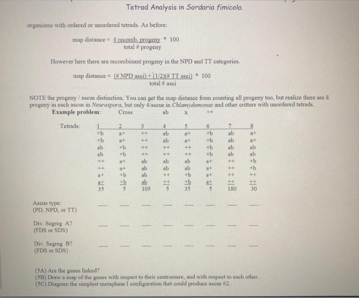 Solved Tetrad Analysis in Sordaria fimicola. organisms with | Chegg.com
