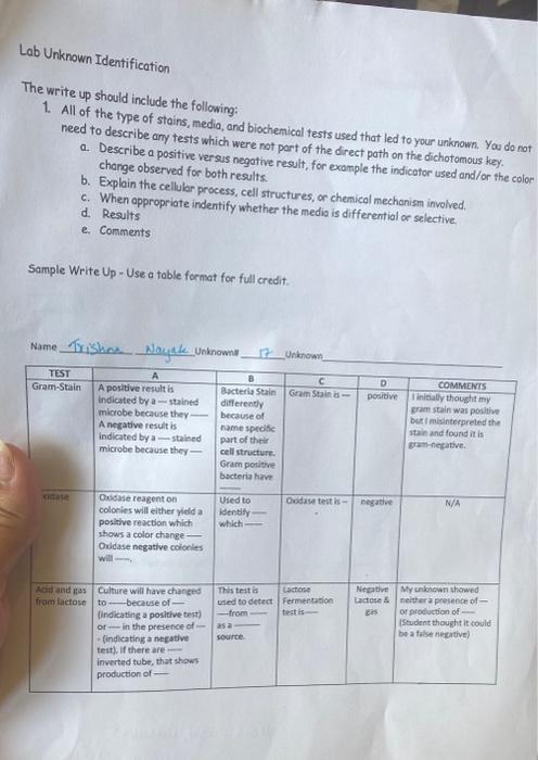 Lab Unknown Identification The write up should | Chegg.com