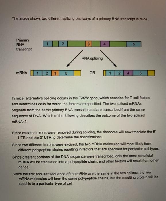 Solved The image shows two different splicing pathways of a | Chegg.com