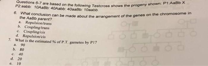 Solved Questions 6−7 are based on the following Testcross | Chegg.com