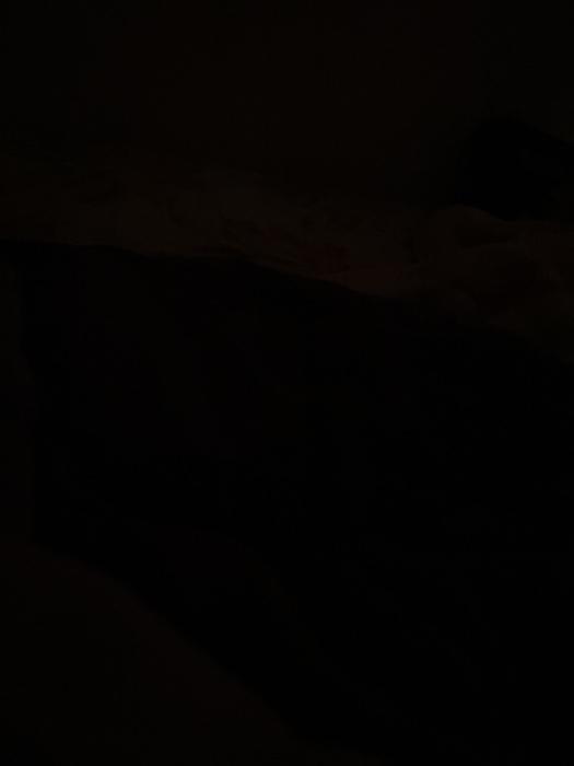 Data Preprocessing Using Weka View the weather data | Chegg.com