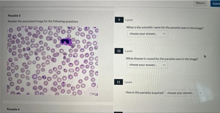 Solved What is the scientific name for the parasite seen in | Chegg.com