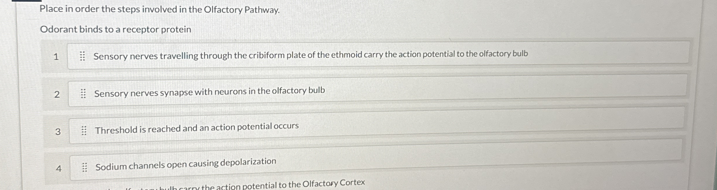 Solved Place in order the steps involved in the Olfactory | Chegg.com