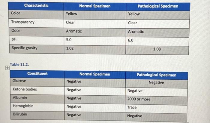 Solved Summarize the abnormal urinalysis findings from the | Chegg.com