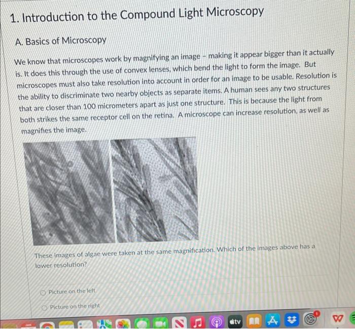 Solved 1. Introduction to the Compound Light Microscopy A. | Chegg.com