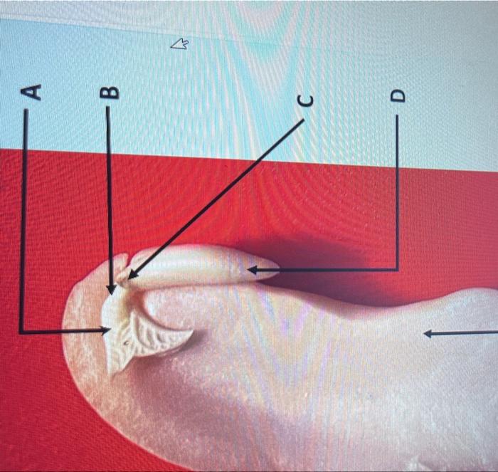 Solved please label | Chegg.com