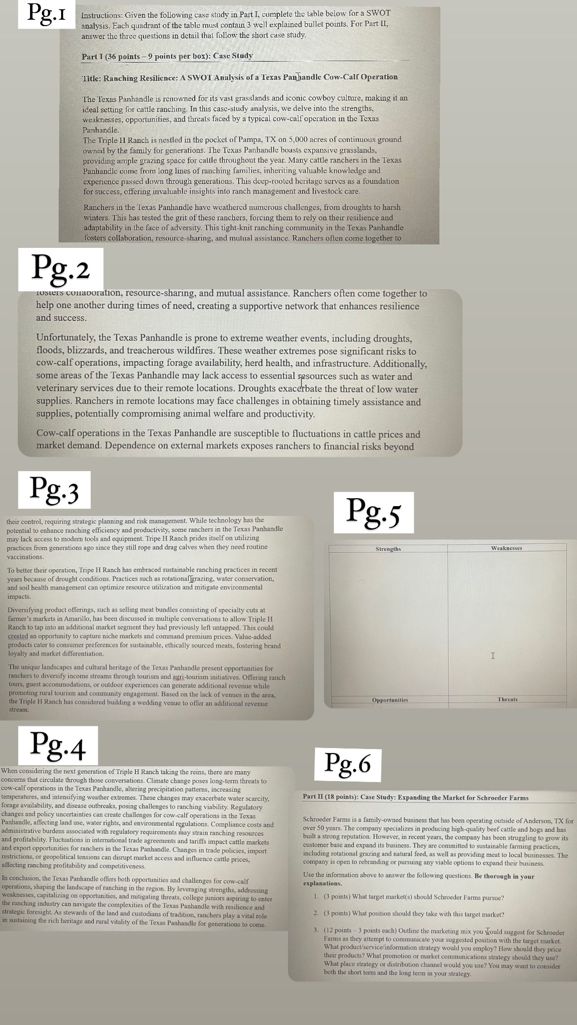 Solved Pg.IPg. 2Pg. 3Pg. 5Pg. 4Pg. 6 | Chegg.com