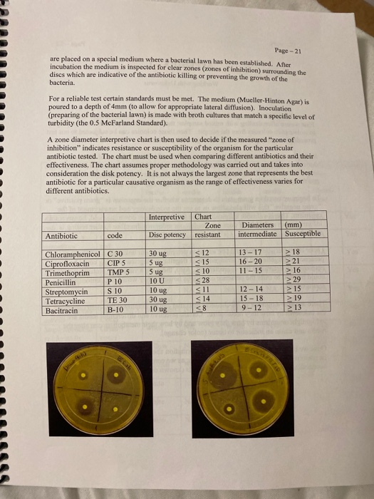 LAB 4 UBIQUITY OF MICROORGANISMS Lab - 4A Laboratory | Chegg.com