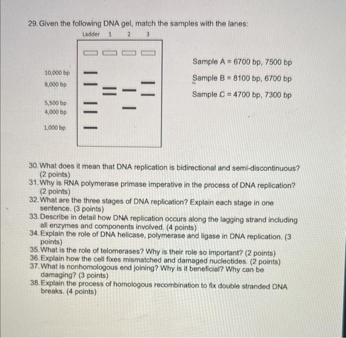 Solved 1. Do all cells have membrane-bound organelles? | Chegg.com