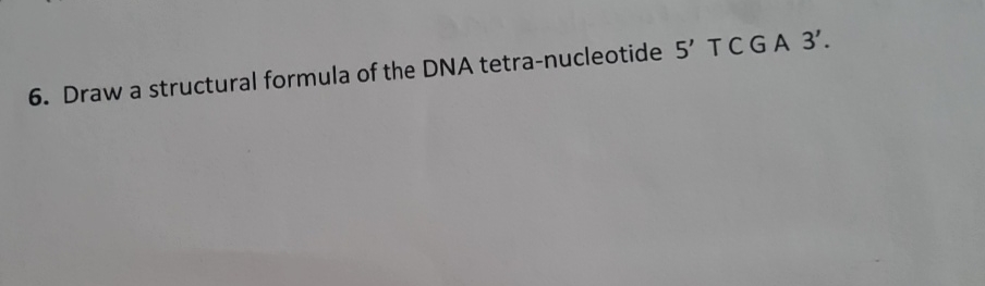 Draw a structural formula of the DNA tetra-nucleotide | Chegg.com