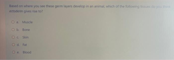 Solved One of the other names for 'archaeocytes' in sponges | Chegg.com