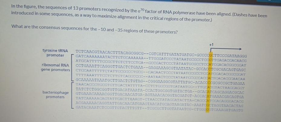 Solved In the figure, the sequences of 13 ﻿promoters | Chegg.com