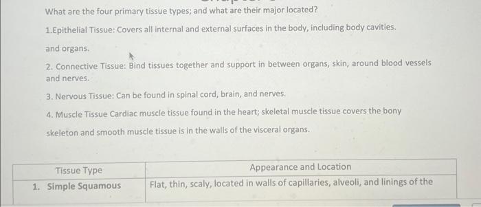 What are the four primary tissue types; and what are | Chegg.com