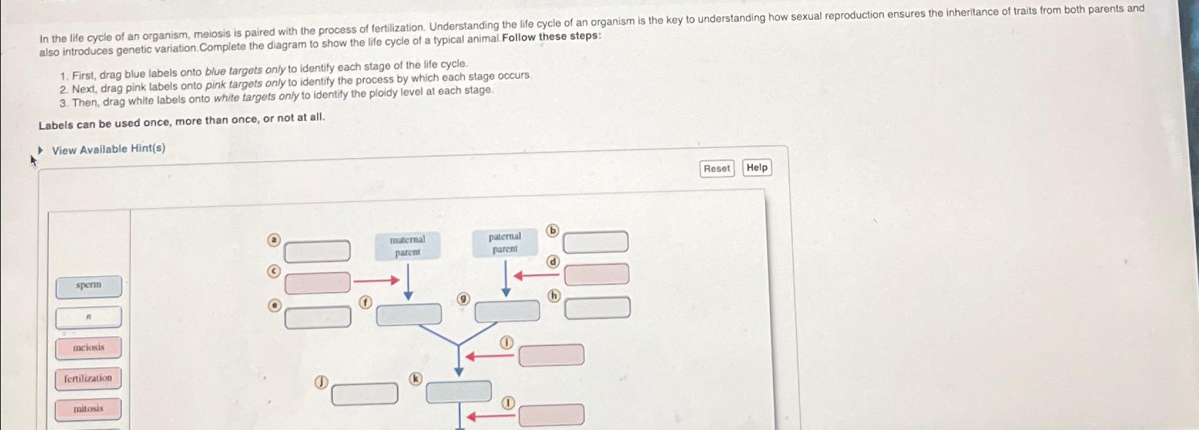Solved also introduces genetic variation. Complete the | Chegg.com