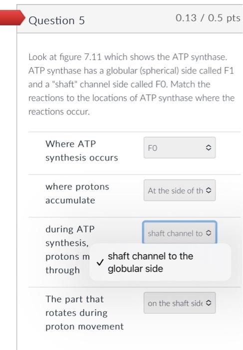 Solved Look at figure 7.11 which shows the ATP synthase. ATP | Chegg.com