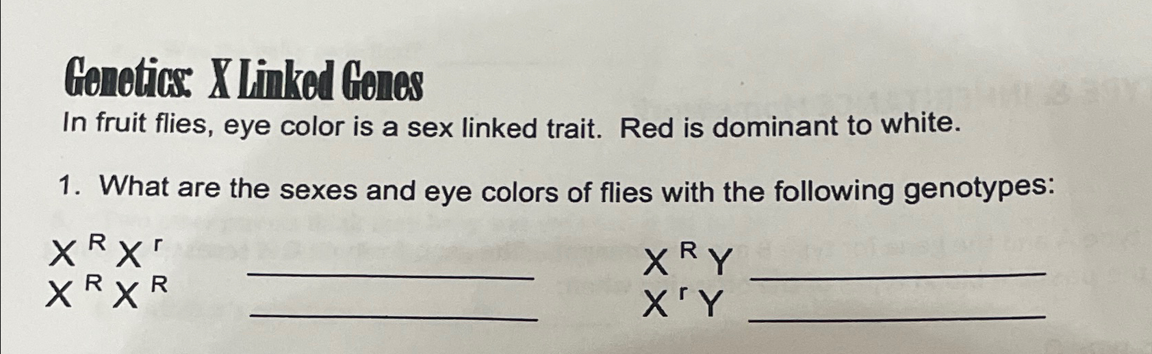 Solved Genotiax X Linked Ginesin Fruit Flies Eye Color Is