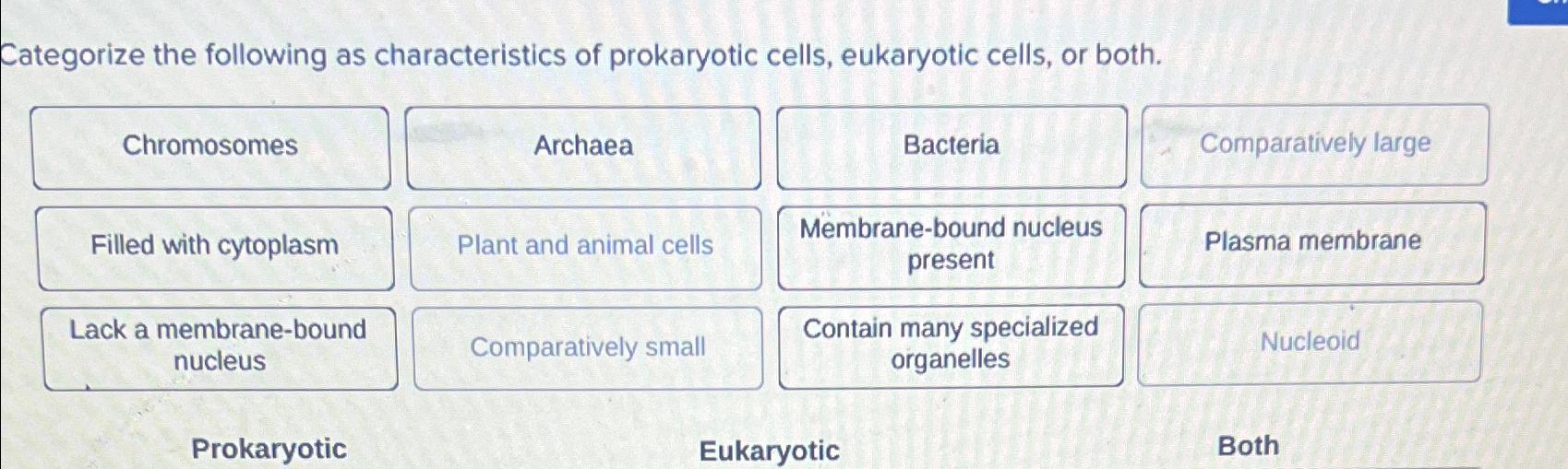 Solved Categorize the following as characteristics of | Chegg.com