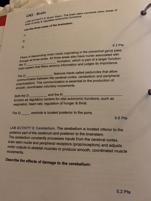 Solved CNS - Brain LAB ACTIVITY 8: Brain Stem. The brain | Chegg.com