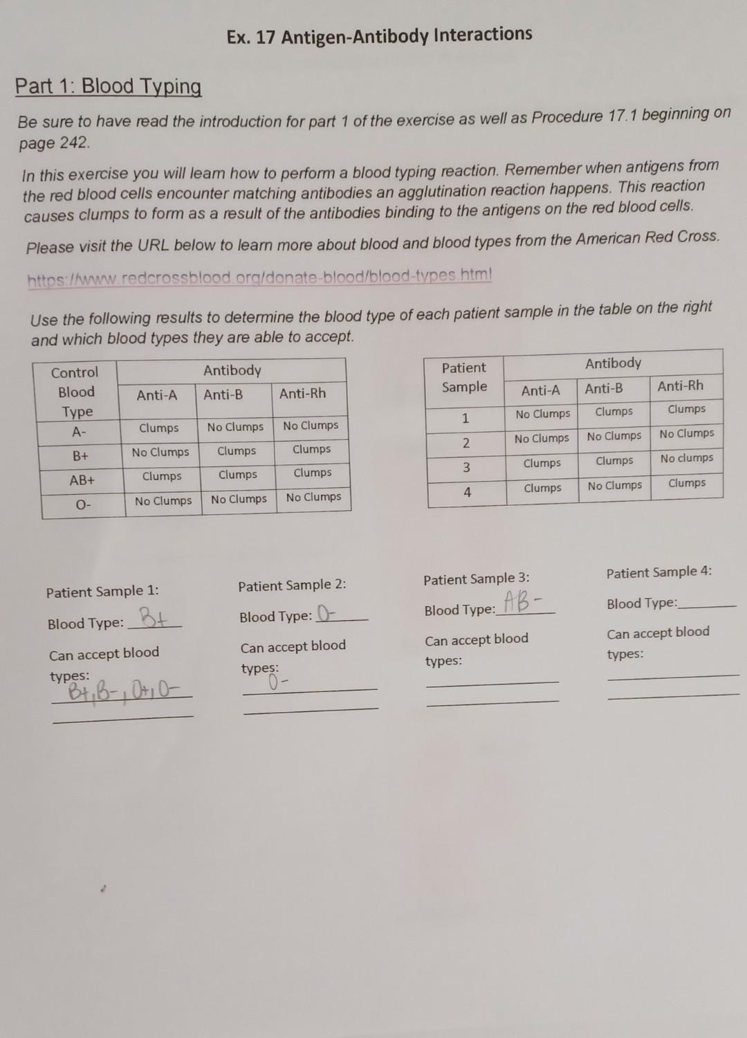 Solved Part 1: Blood Typing Be sure to have read the | Chegg.com