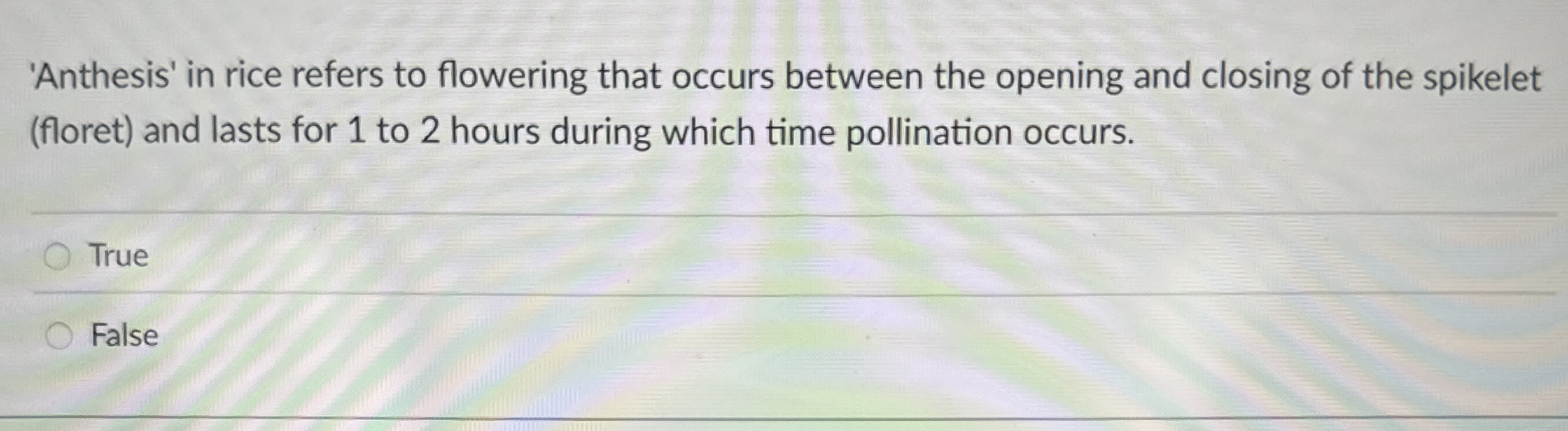 Solved 'Anthesis' in rice refers to flowering that occurs | Chegg.com