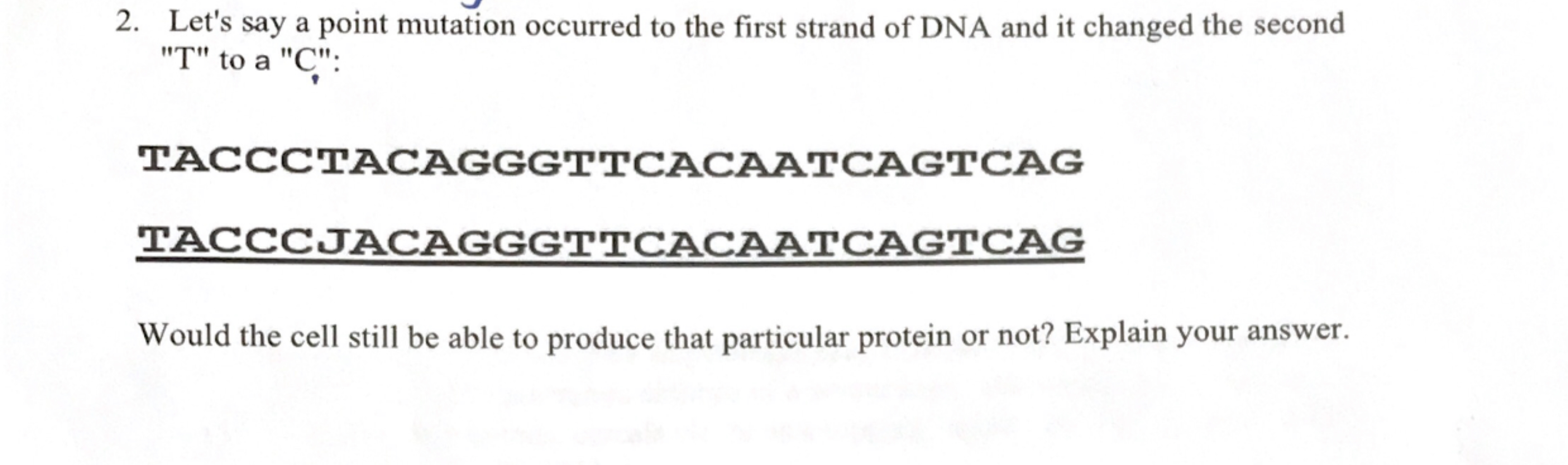 Solved Let's say a point mutation occurred to the first | Chegg.com