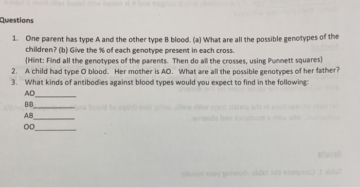 Solved Questions 1. One parent has type A and the other type | Chegg.com