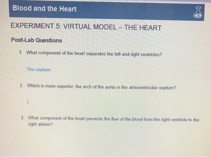 Solved Blood and the Heart EXPERIMENT 5: VIRTUAL MODEL - THE | Chegg.com