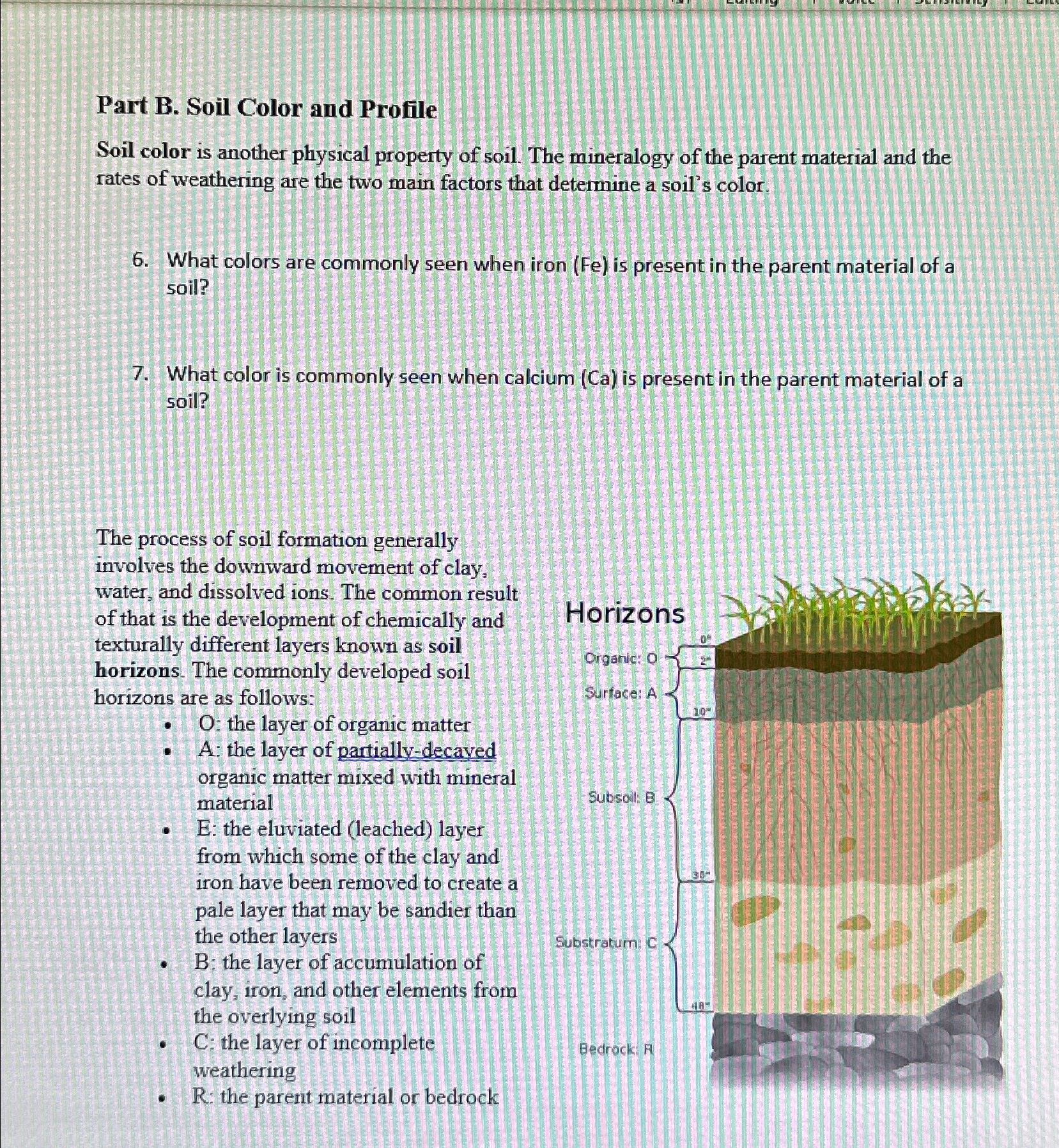 Solved Part B. ﻿Soil Color and ProfileSoil color is another | Chegg.com