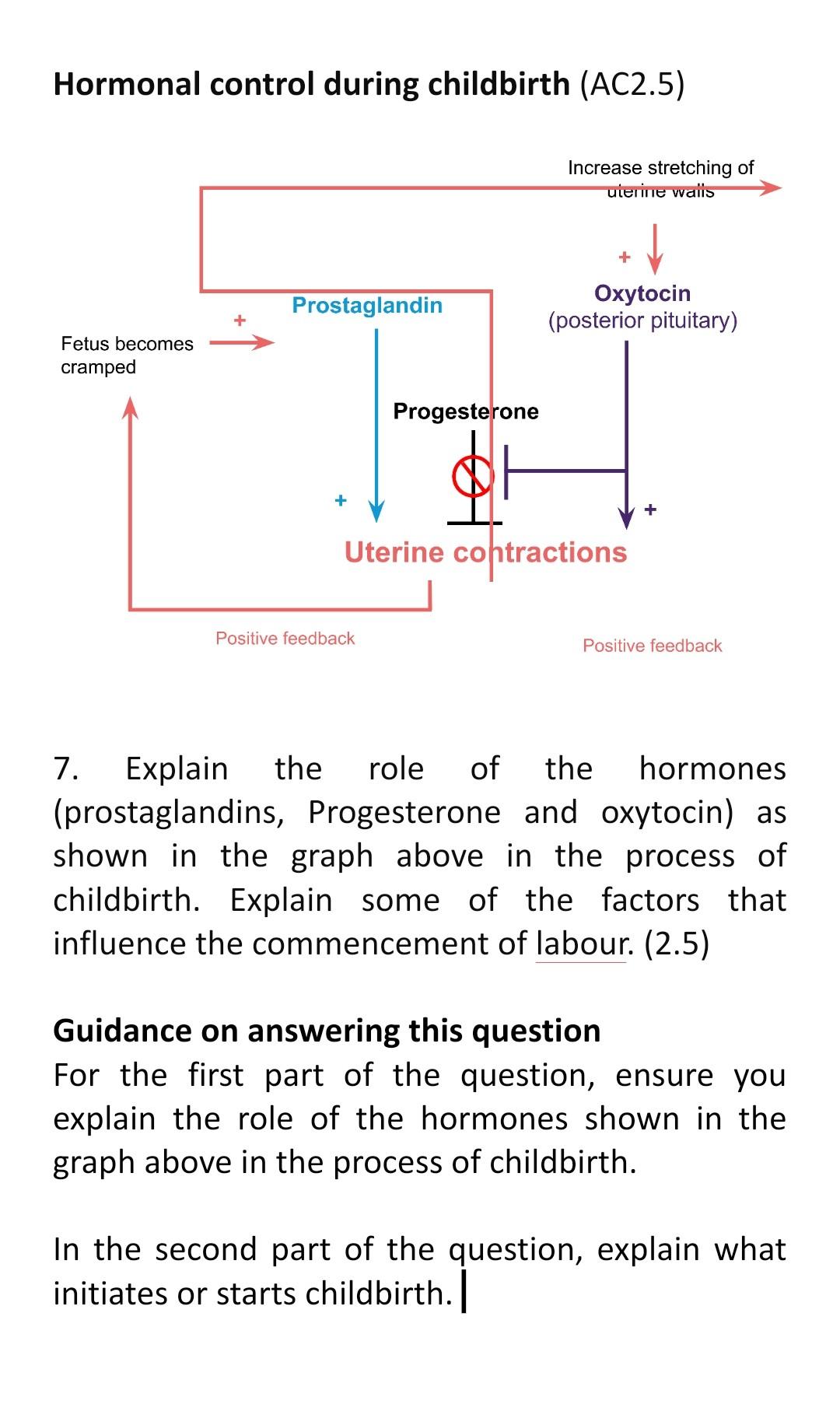 Solved Hormonal control during childbirth (AC2.5) 7. Explain | Chegg.com