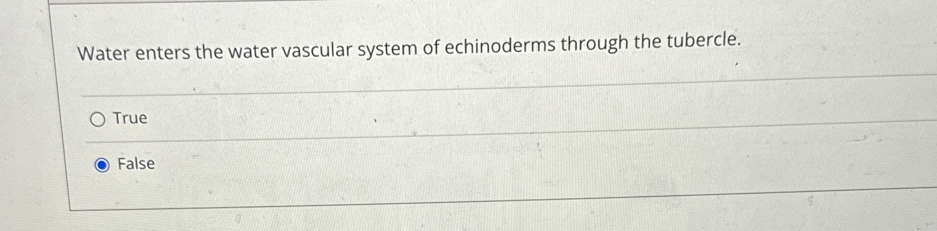 Solved Water enters the water vascular system of echinoderms | Chegg.com