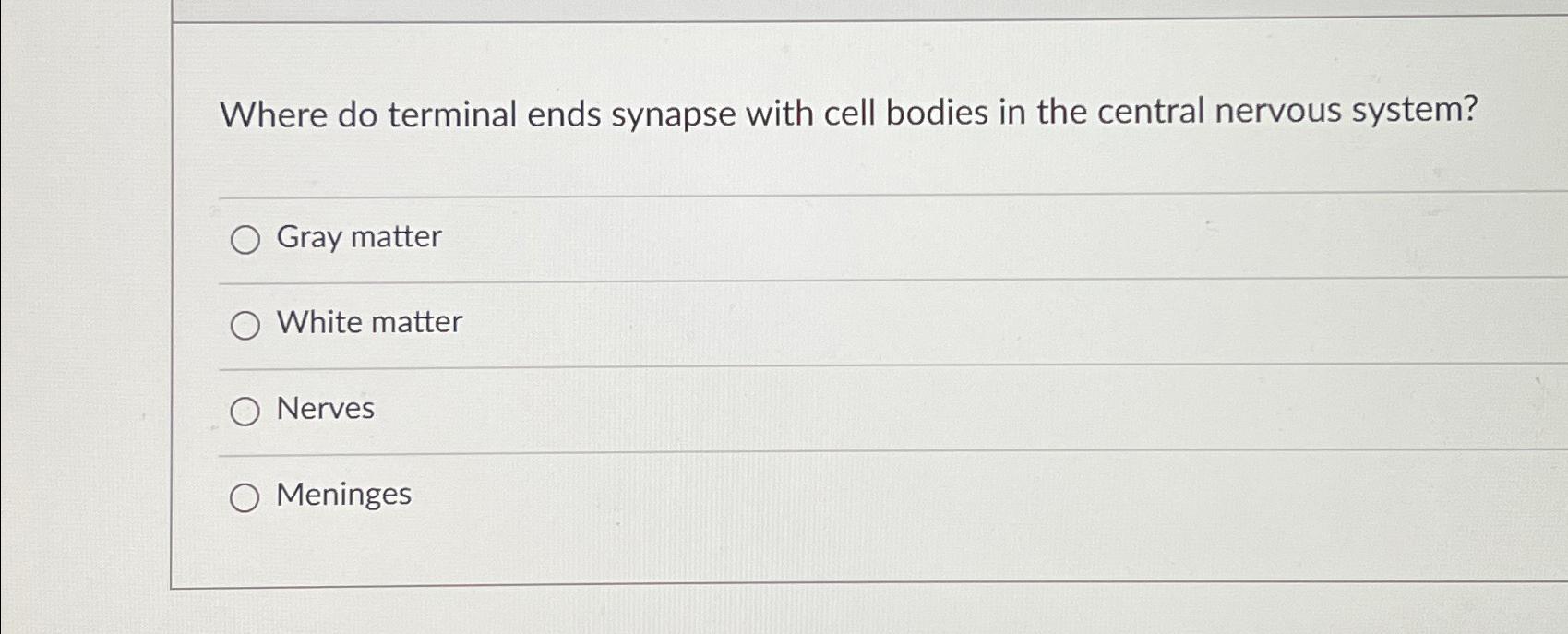 Solved Where do terminal ends synapse with cell bodies in | Chegg.com