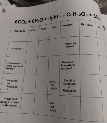 Solved 6CO, + 6H;0 + ﻿light --> | Chegg.com