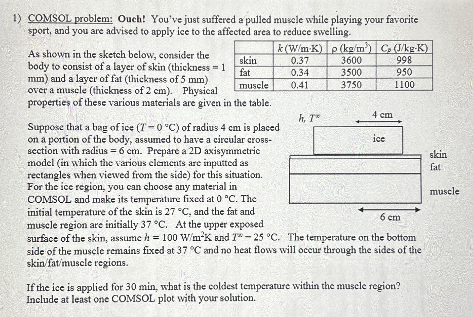 Solved COMSOL problem: Ouch! You've just suffered a pulled | Chegg.com