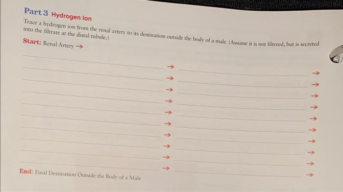 Tracing Substances Through the Kidney Complete the | Chegg.com