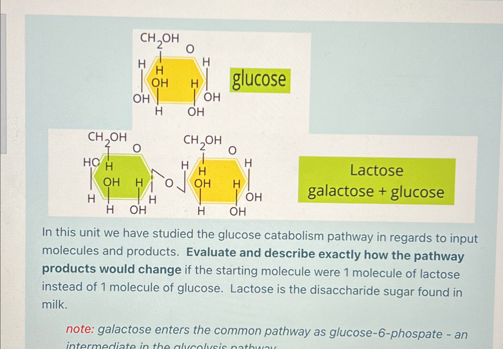Solved glucoseLactose galactose + ﻿glucoseIn this unit we | Chegg.com