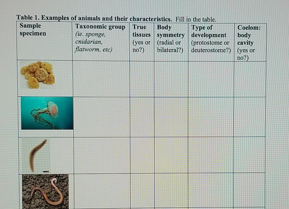 Solved Table 1. Examples of animals and their | Chegg.com