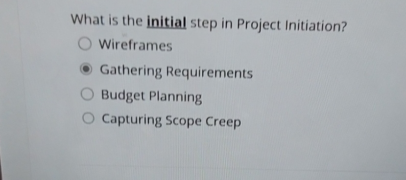 Solved What is the initial step in Project | Chegg.com