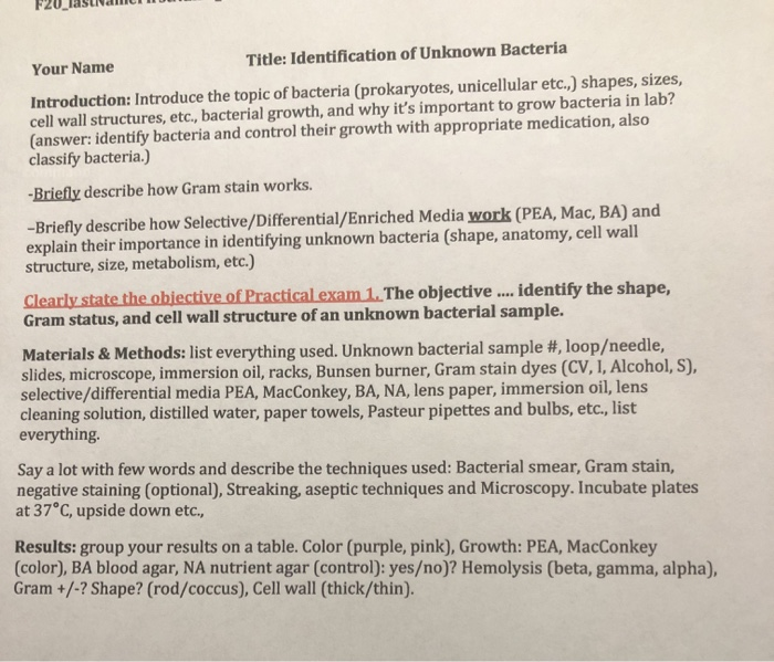 Your Name Title: Identification of Unknown Bacteria | Chegg.com