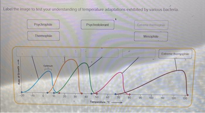 Solved Label the image to test your understanding of | Chegg.com