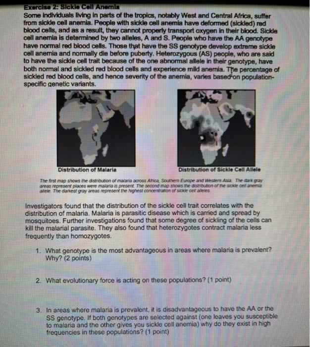 Solved Names: Lab 4: Modern Human Variation Exercise 1: | Chegg.com