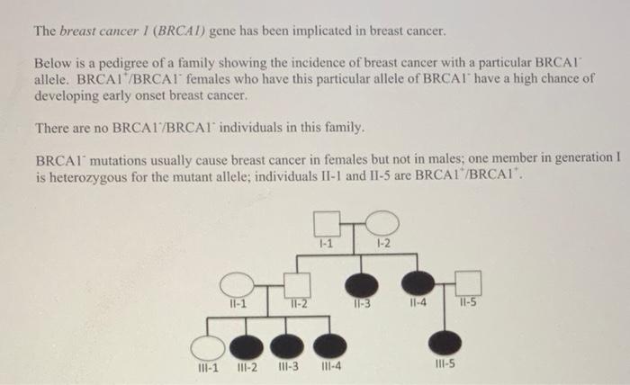 Solved The breast cancer 1 (BRCAI) gene has been implicated | Chegg.com